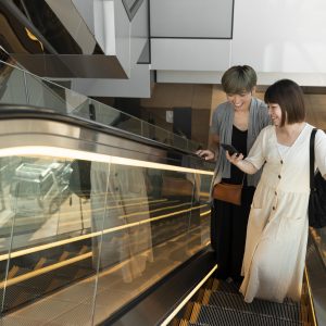 What is an Elevator and Escalator? – Complete Guide by Trans Elevator ...